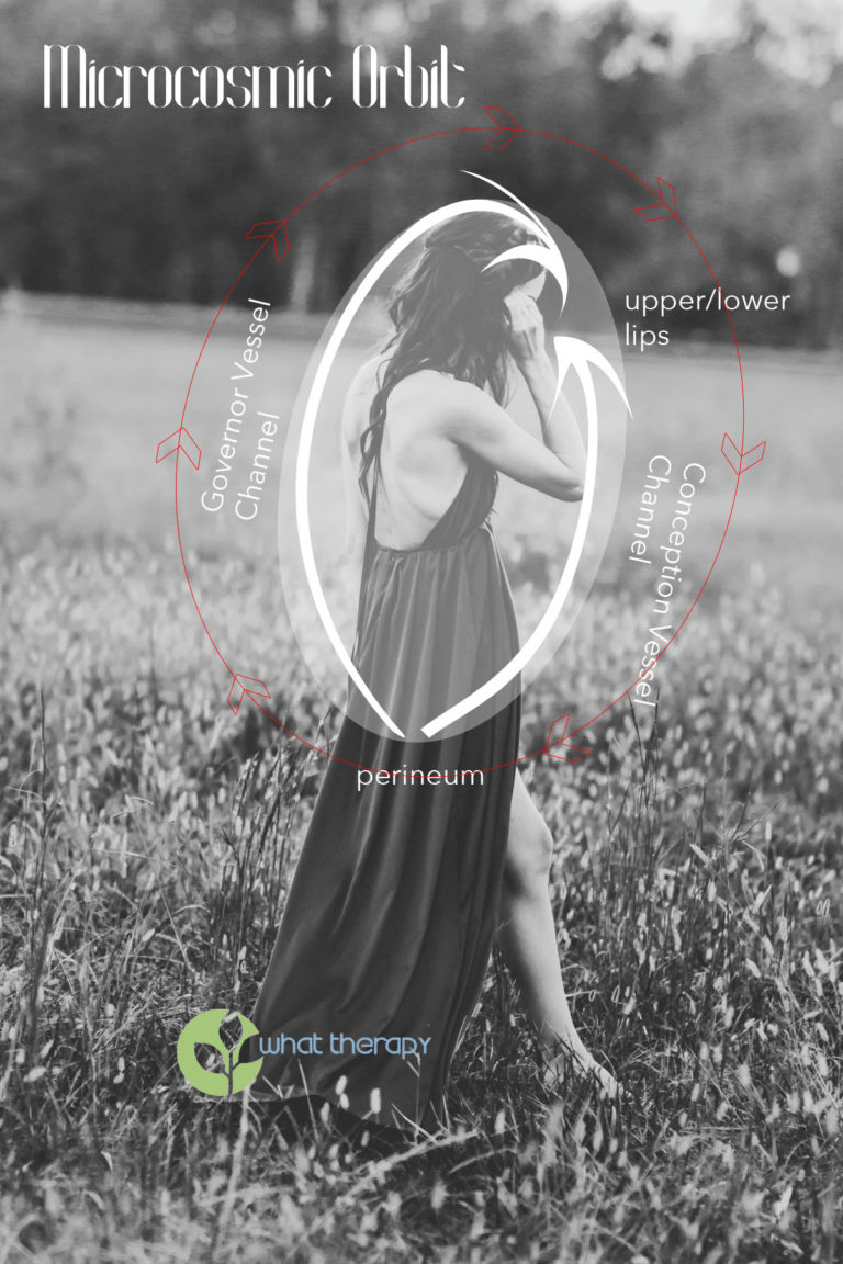 Master the Microcosmic Orbit : Get More Mileage from Your Energy - What ...