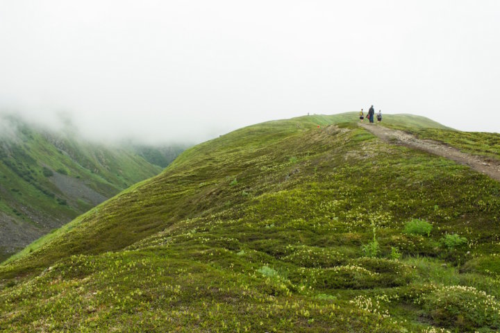 How Much Nature do We Need? - What Therapy