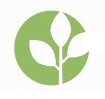 What is Bioresonance Therapy? - What Therapy